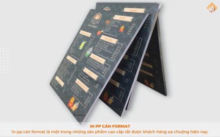In PP là gì? Các loại in PP phổ biến hiện nay